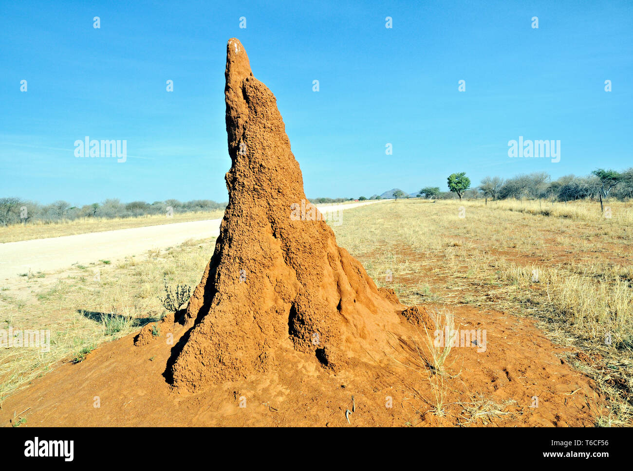 Termite mound Namibia Stock Photo - Alamy