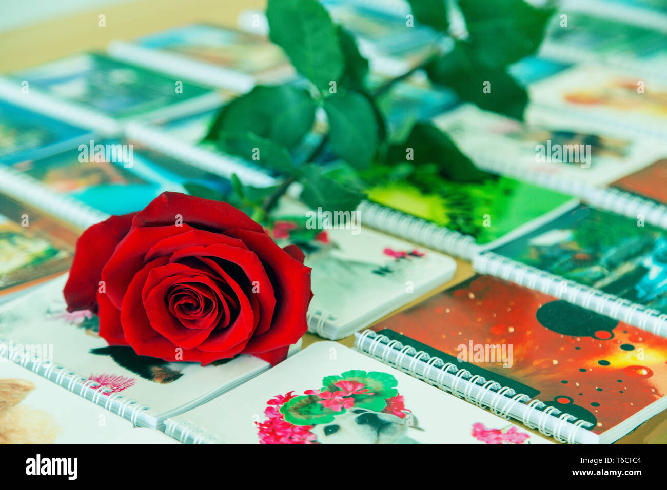 Scarlet notebooks hi-res stock photography and images - Alamy