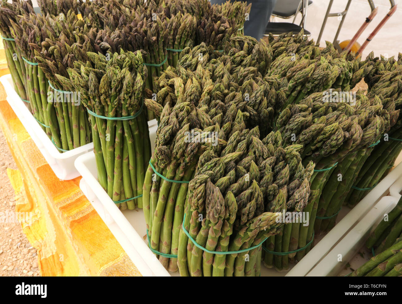 bundles of tips of green organic asparagus for sale at market Stock ...