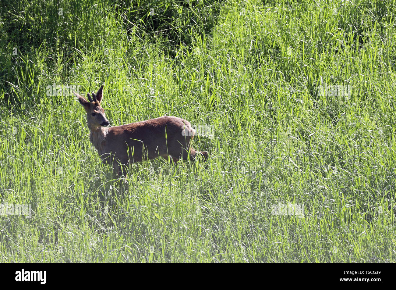 Wak eup hi-res stock photography and images - Alamy