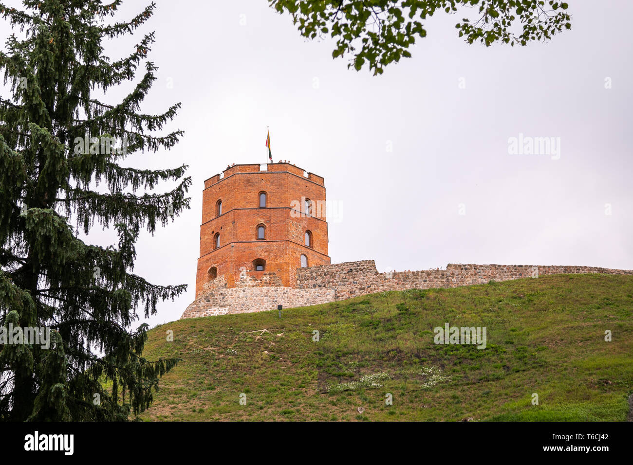 Tower Of Gediminas (Gedimino) In Vilnius, Lithuania. Historic Symbol Of ...