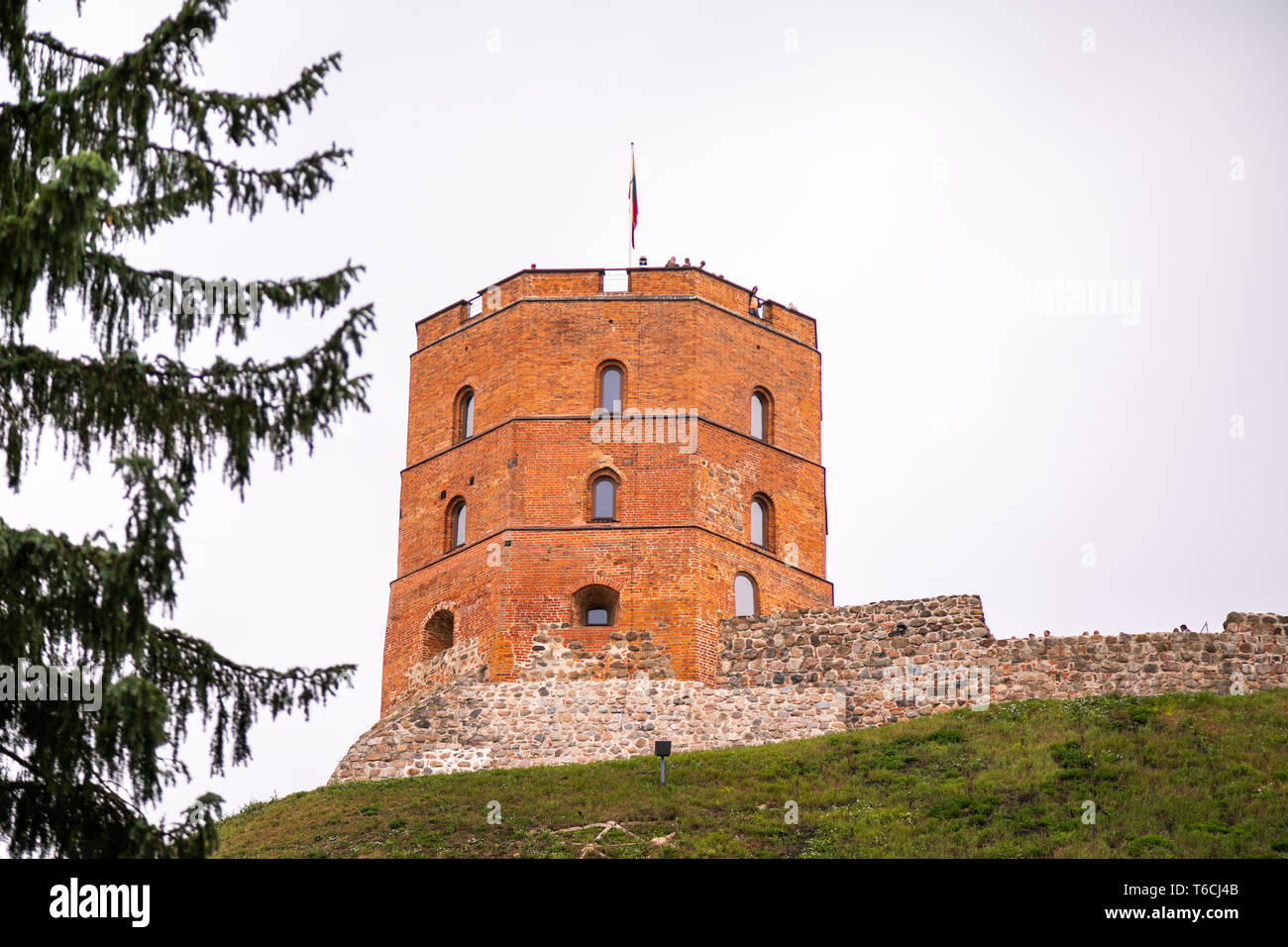 Tower Of Gediminas (Gedimino) In Vilnius, Lithuania. Historic Symbol Of ...