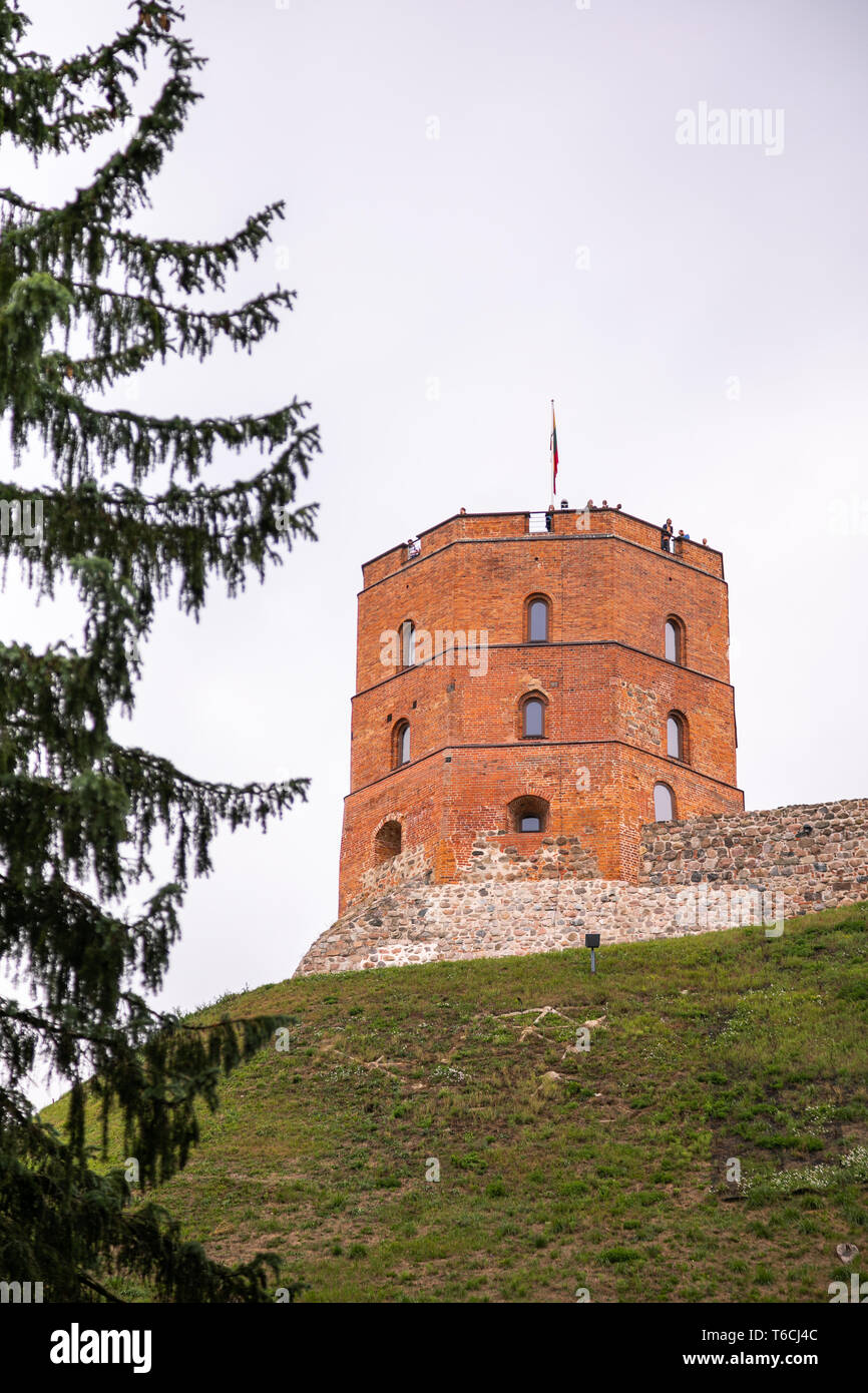 Tower Of Gediminas (Gedimino) In Vilnius, Lithuania. Historic Symbol Of ...