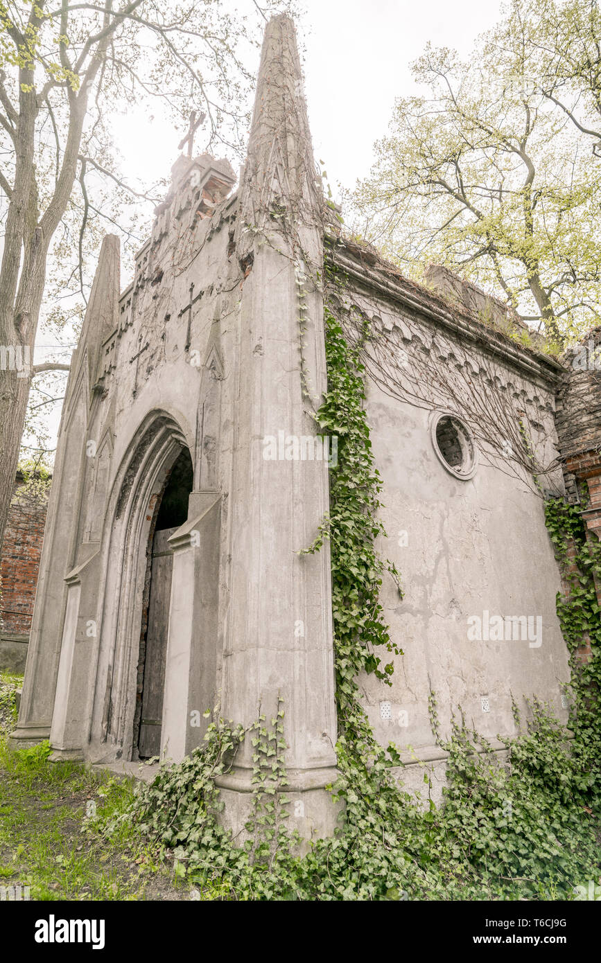 old gothic tomb overgrown with ivy Stock Photo - Alamy