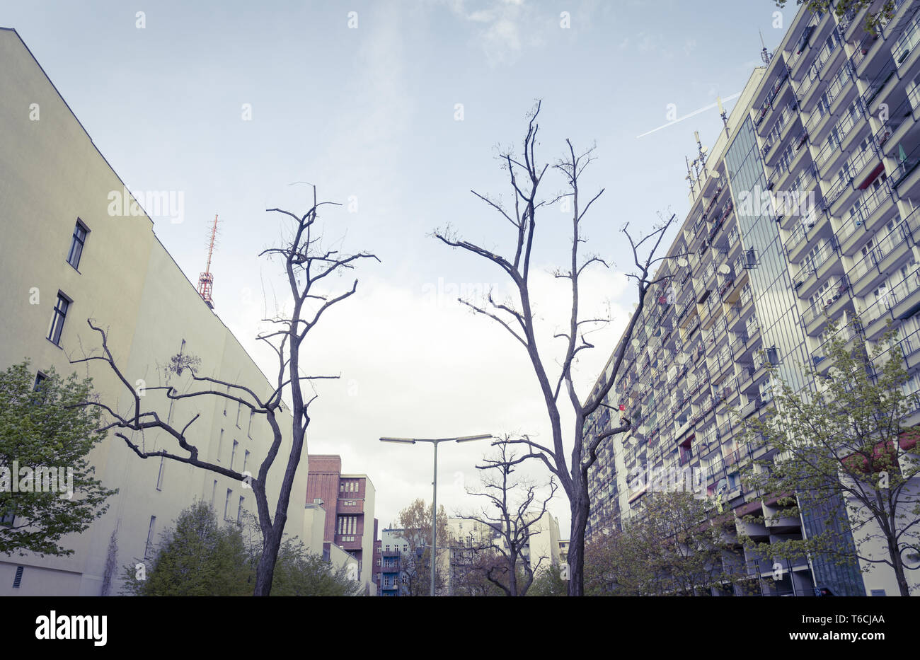 Two dead trees hi-res stock photography and images - Alamy