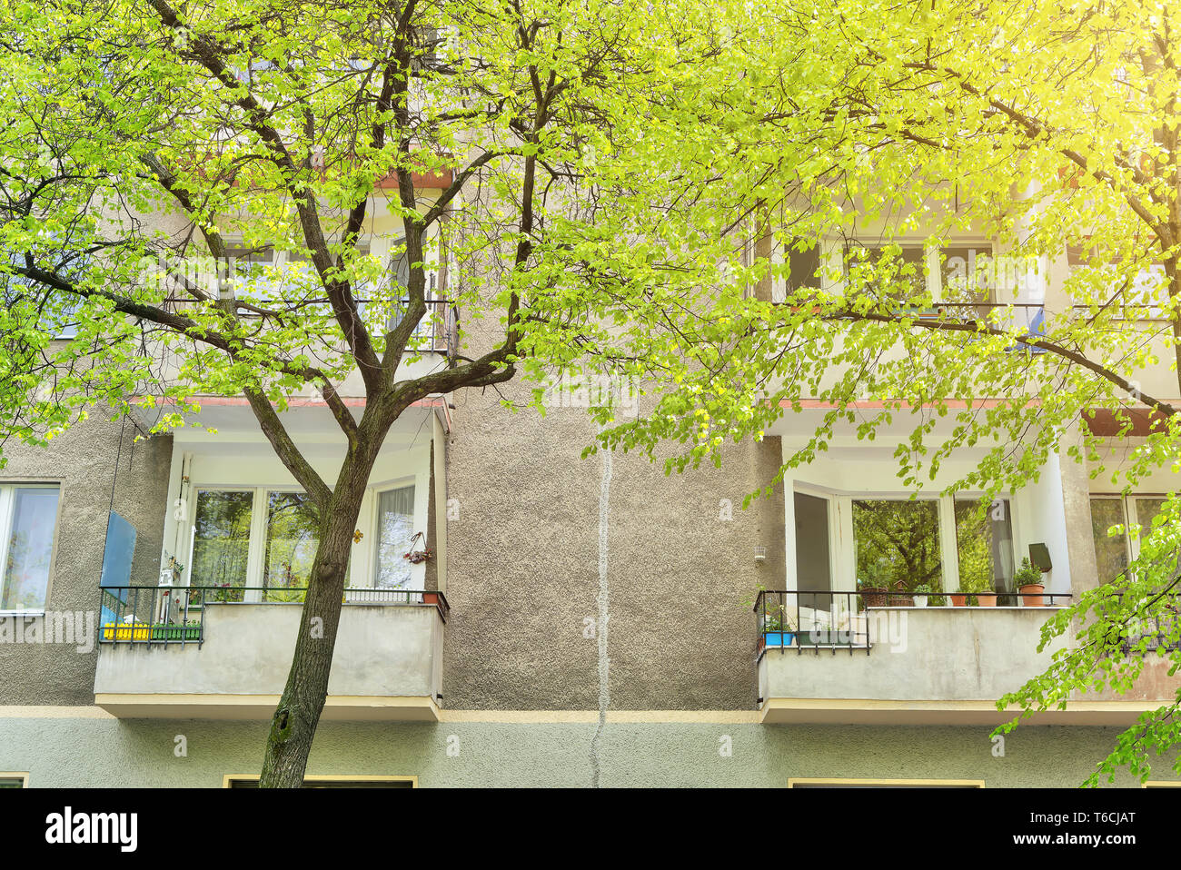 Trees house hi-res stock photography and images - Alamy