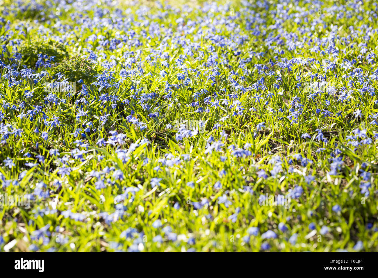 Sun shining on colorful hi-res stock photography and images - Alamy