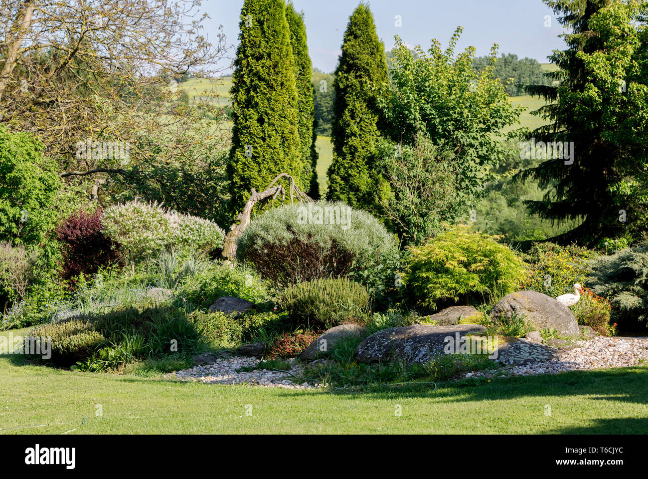 colorful spring garden Stock Photo - Alamy