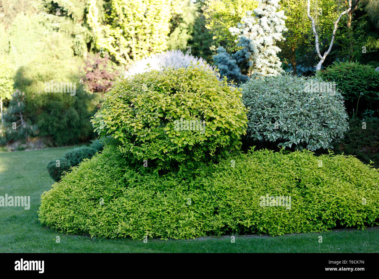 colorful spring garden Stock Photo - Alamy