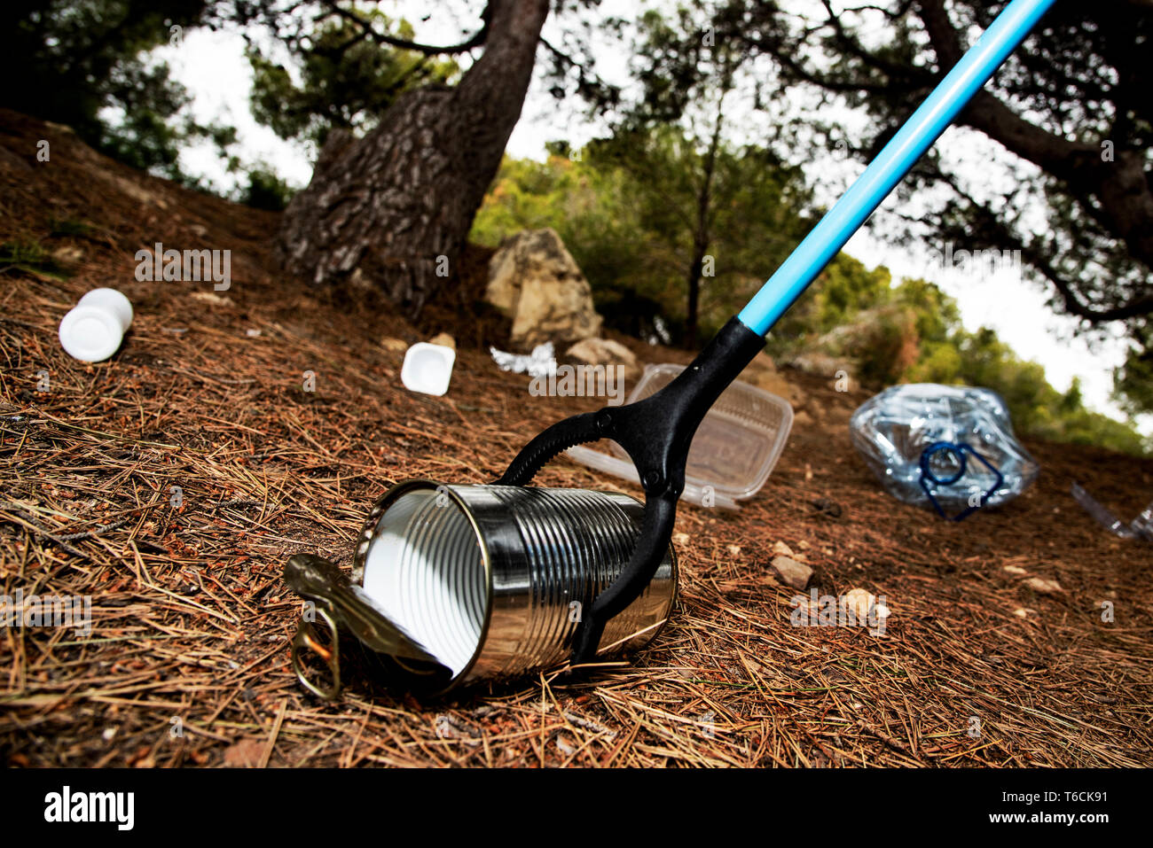 Litter stick hi-res stock photography and images - Alamy