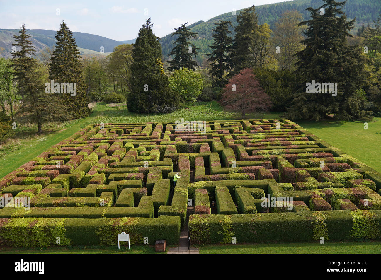 RETRANSMITTED CORRECTING CAPTION Gardner Eric Drennon give the maze at ...