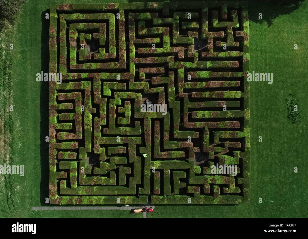 Traquair house maze hi-res stock photography and images - Alamy