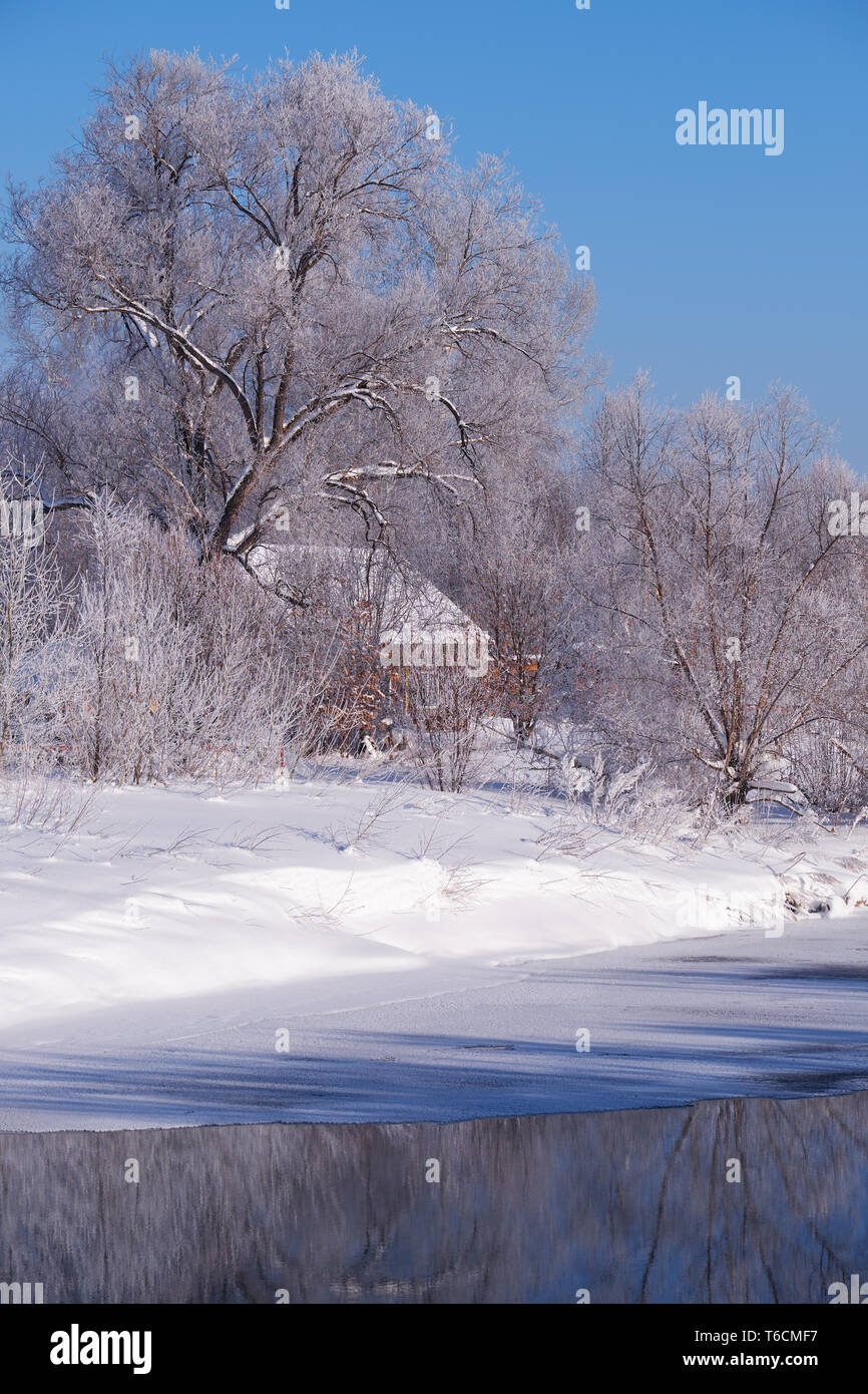 Altai russian country village Talitsa under winter snow on bank of ...
