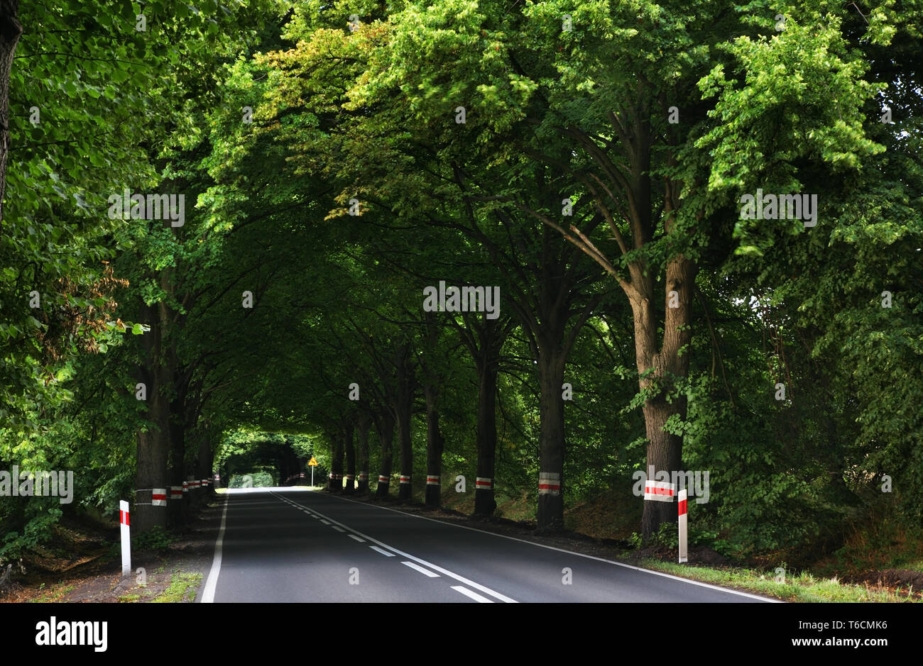 Chojna hi-res stock photography and images - Alamy