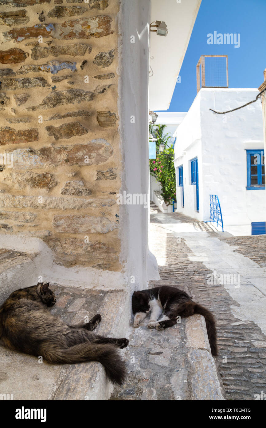 Cats of hellas hi-res stock photography and images - Alamy