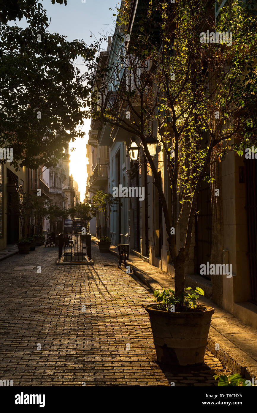 Street at the sunset Stock Photo - Alamy
