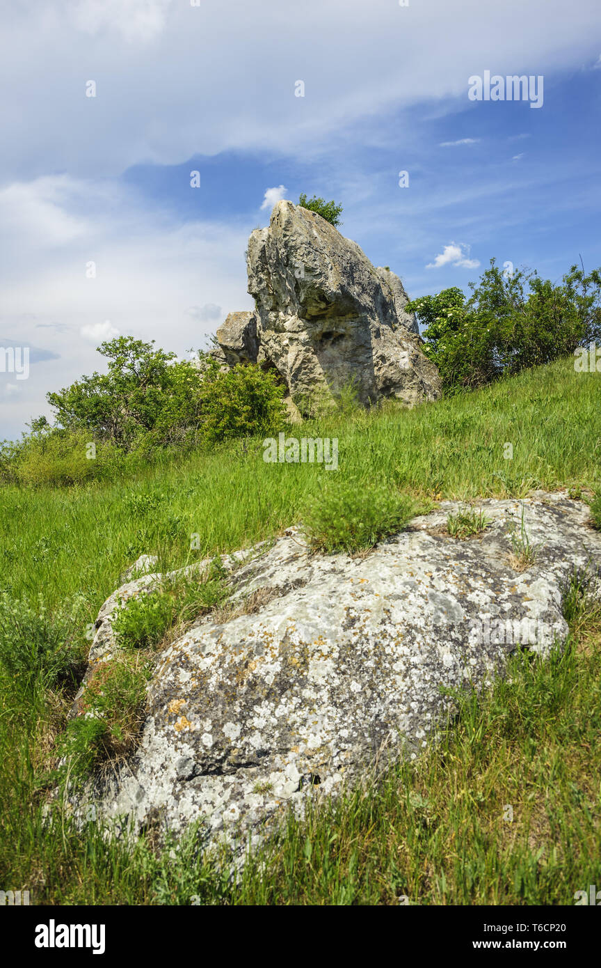 Meadow rock hi-res stock photography and images - Alamy