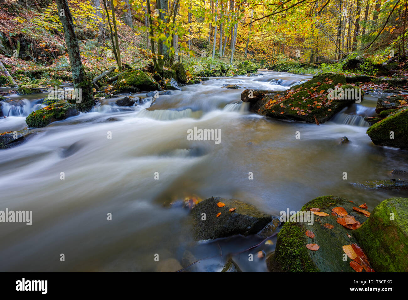 Autumn, fall wild river Doubrava, picturesque landscape Stock Photo - Alamy