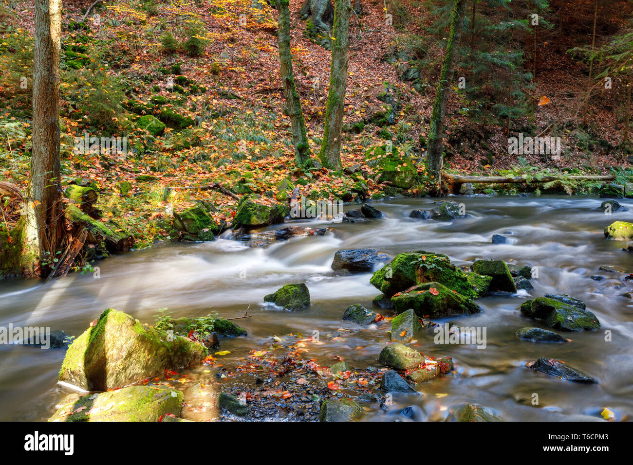 Beautiful picturesque stream running hi-res stock photography and ...