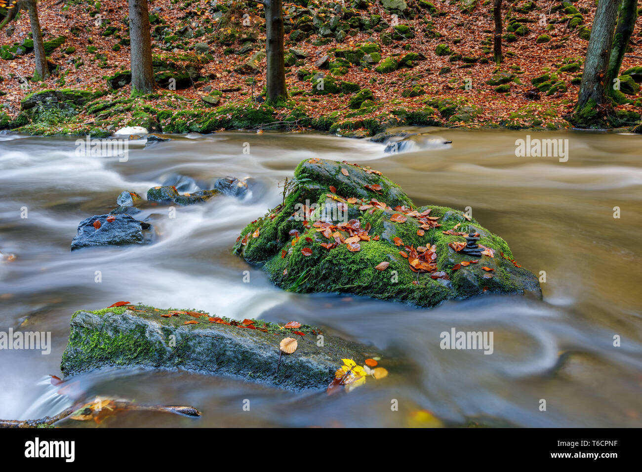 Doubrava hi-res stock photography and images - Alamy