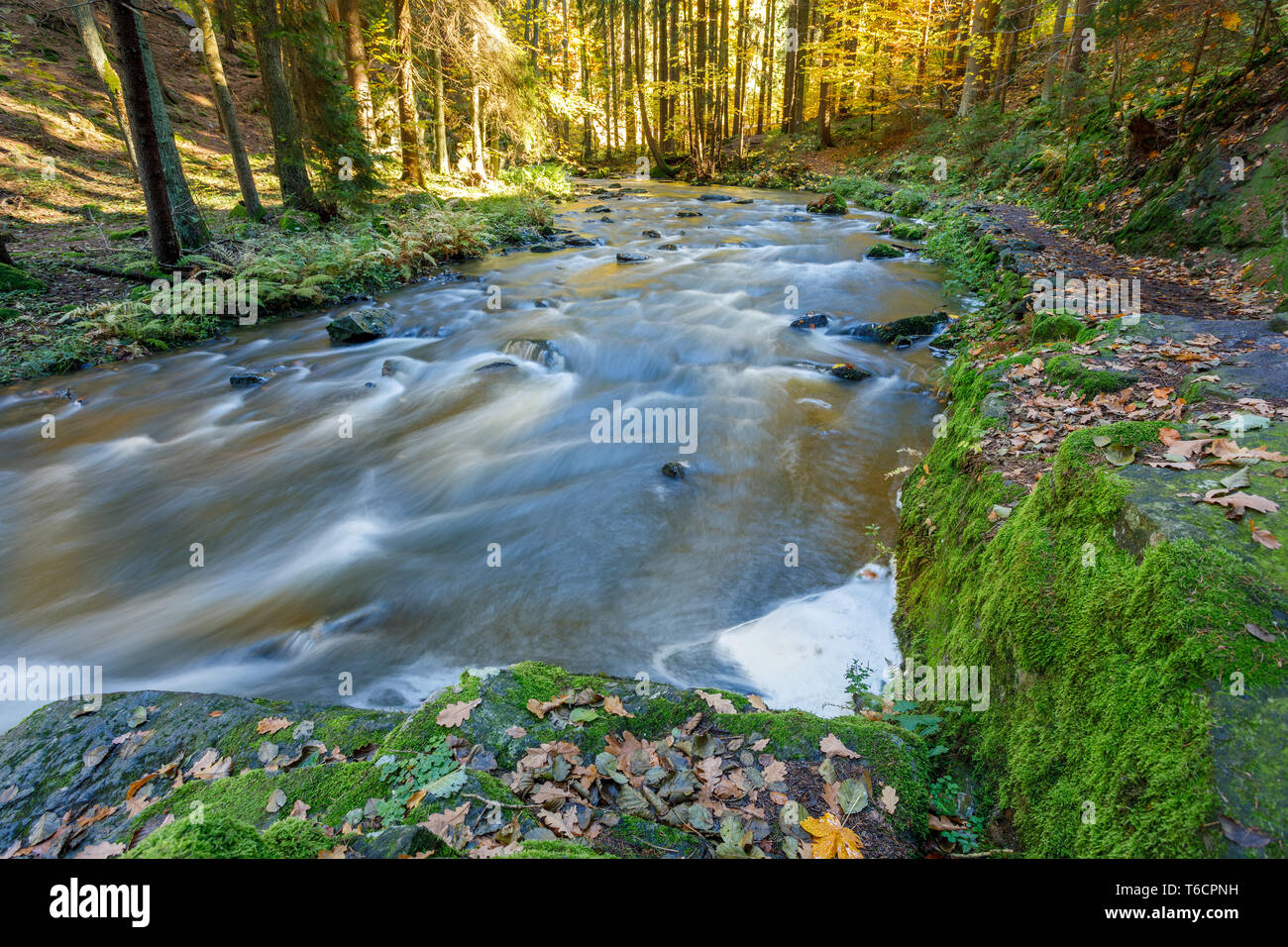 Wild river doubrava autumn fall hi-res stock photography and images - Alamy