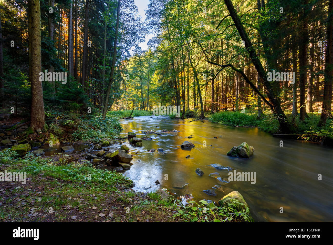 Wild river doubrava autumn fall hi-res stock photography and images - Alamy
