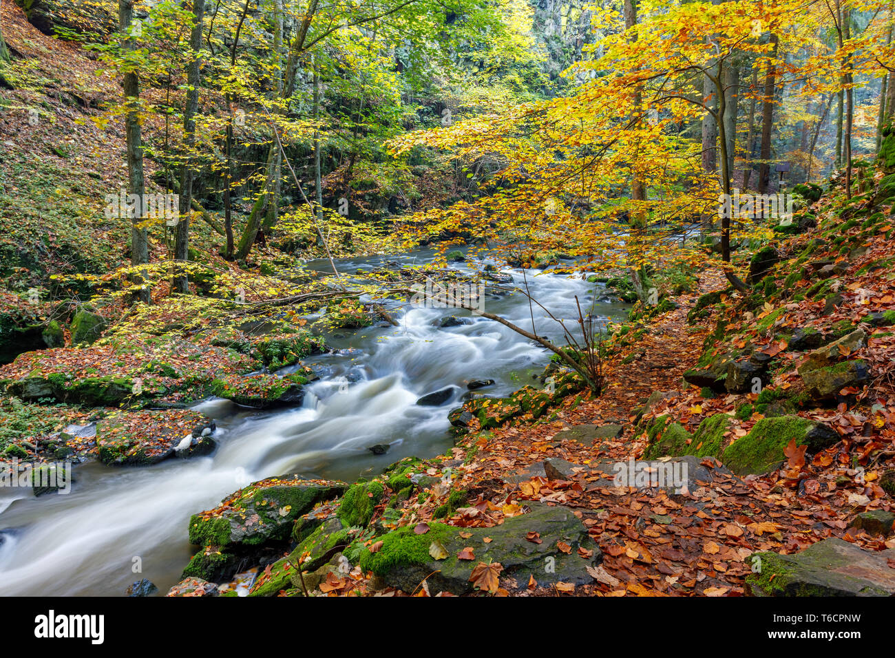 Wild river doubrava autumn fall hi-res stock photography and images - Alamy