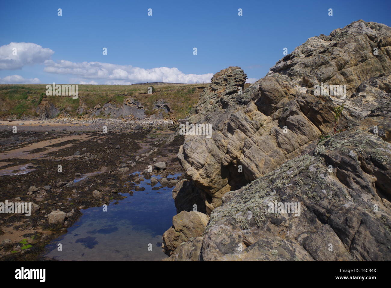 Witches Craig, Carboniferous Sandstone Cliff ay St Monans, Fife ...