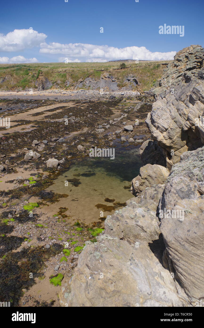 Witches Craig, Carboniferous Sandstone Cliff ay St Monans, Fife ...