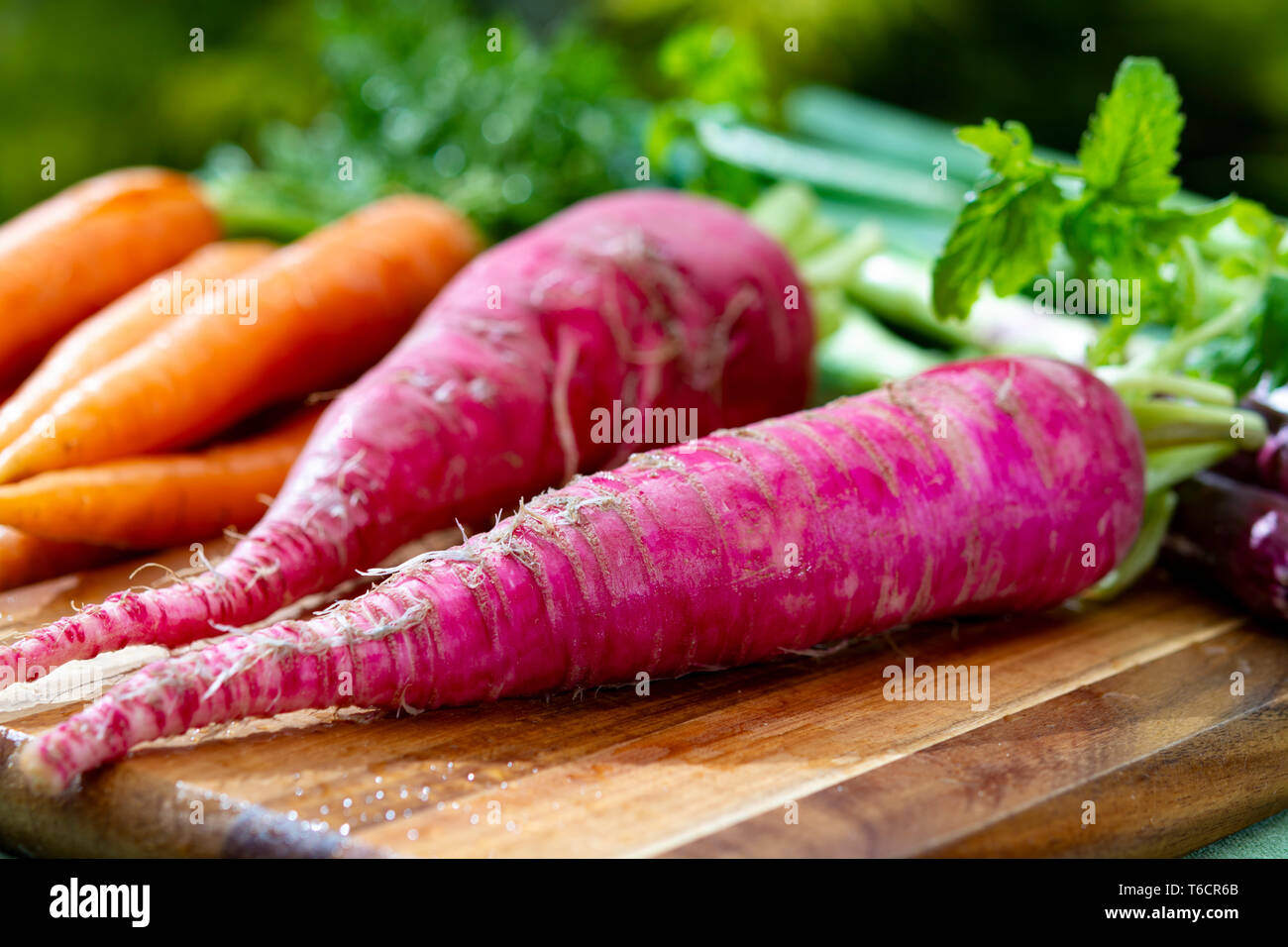 Bunches of fresh red long radish, carrots and purple onion, new harvest ...