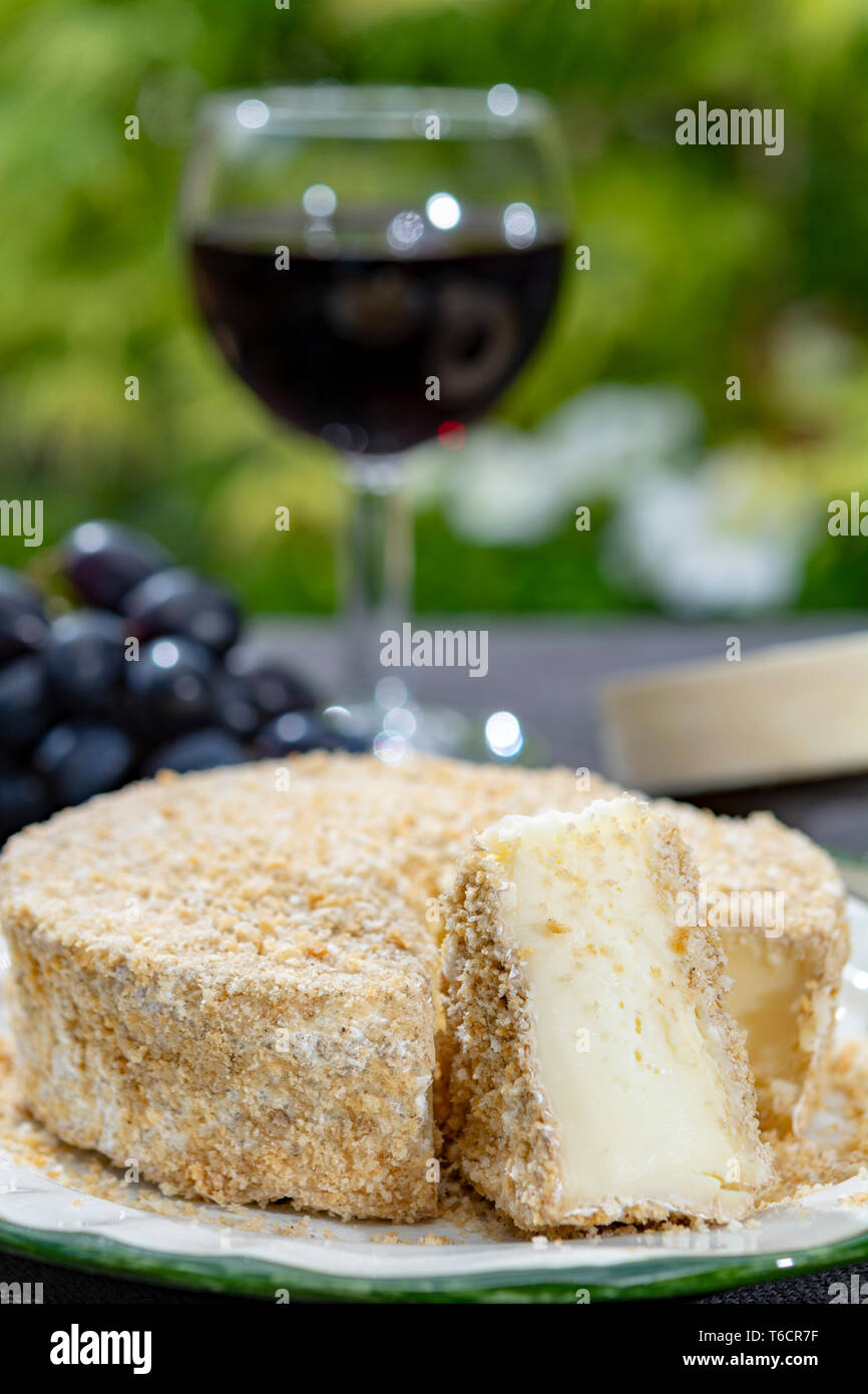 French cheeses collection, piece of fermented cow milk cheese Camembert ...