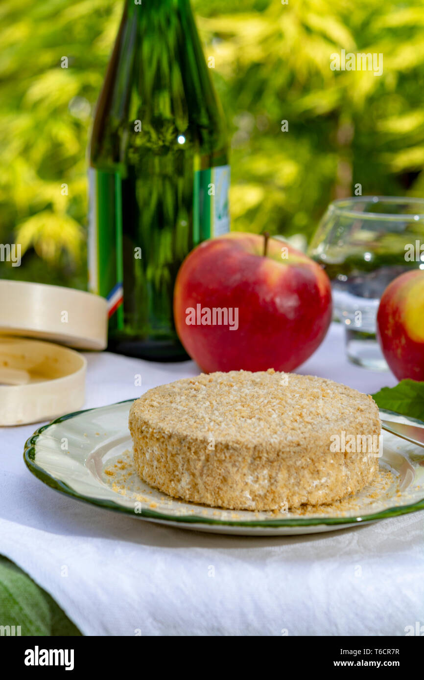French cheeses collection, piece of fermented cow milk cheese Camembert ...