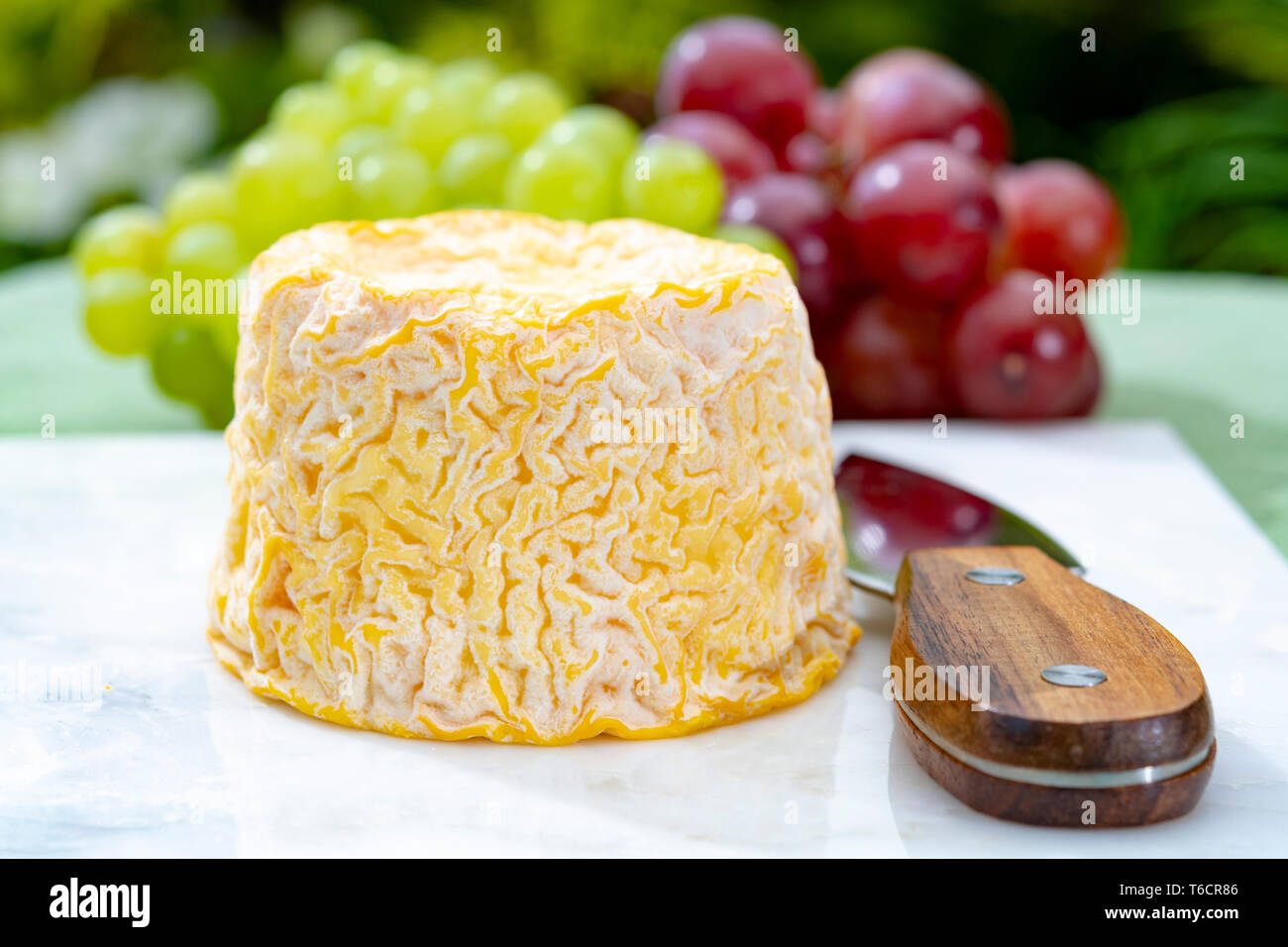 Langres, French cow milk soft cheese, creamy and crumbly with white ...