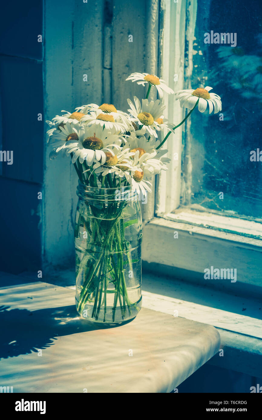 Shadow flowers hi-res stock photography and images - Alamy