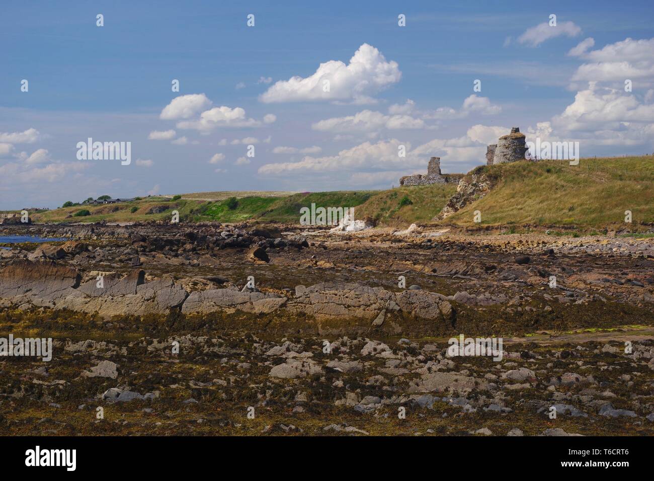 Newark Castle Ruin, along the Fife Coast by St Monans at Low tide on a ...