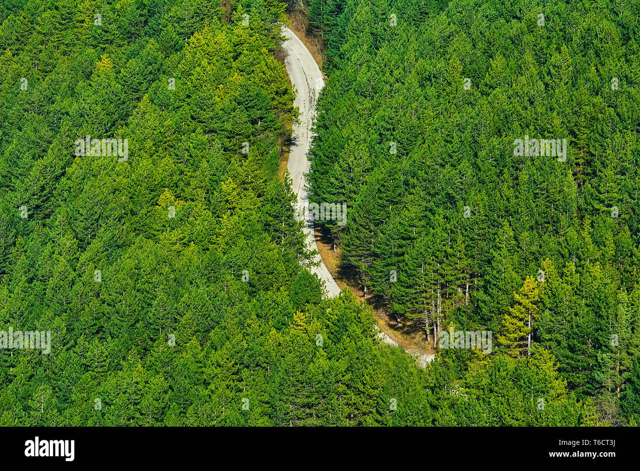 Pinewood Road High Resolution Stock Photography and Images - Alamy