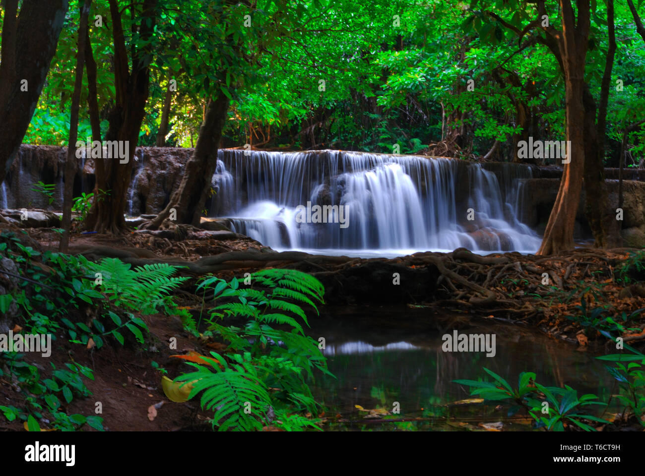 beautiful waterfall and green leaf Makes it feel fresh Stock Photo - Alamy