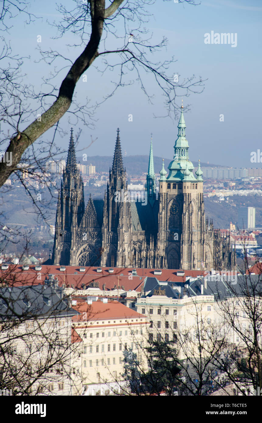 Prague Trees High Resolution Stock Photography and Images - Alamy