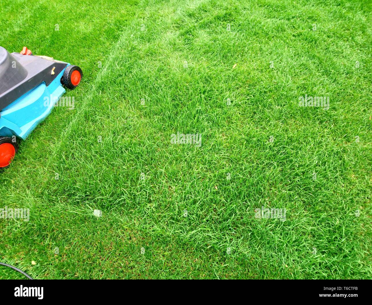 Lawn care of turf grass Stock Photo - Alamy