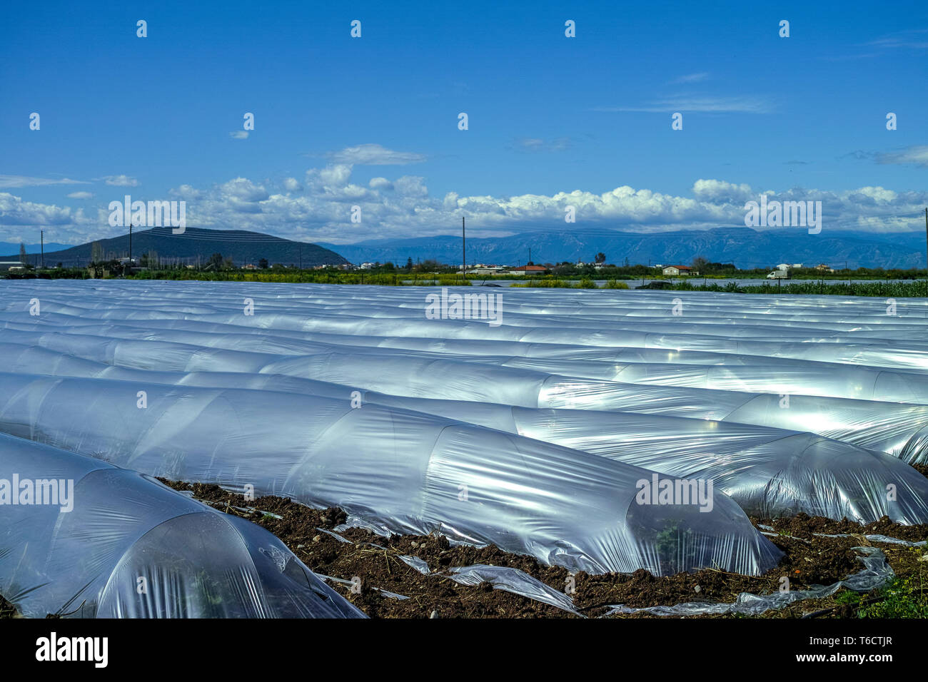 Farming in Greece, rows of small greenhouses covered with plastic film ...