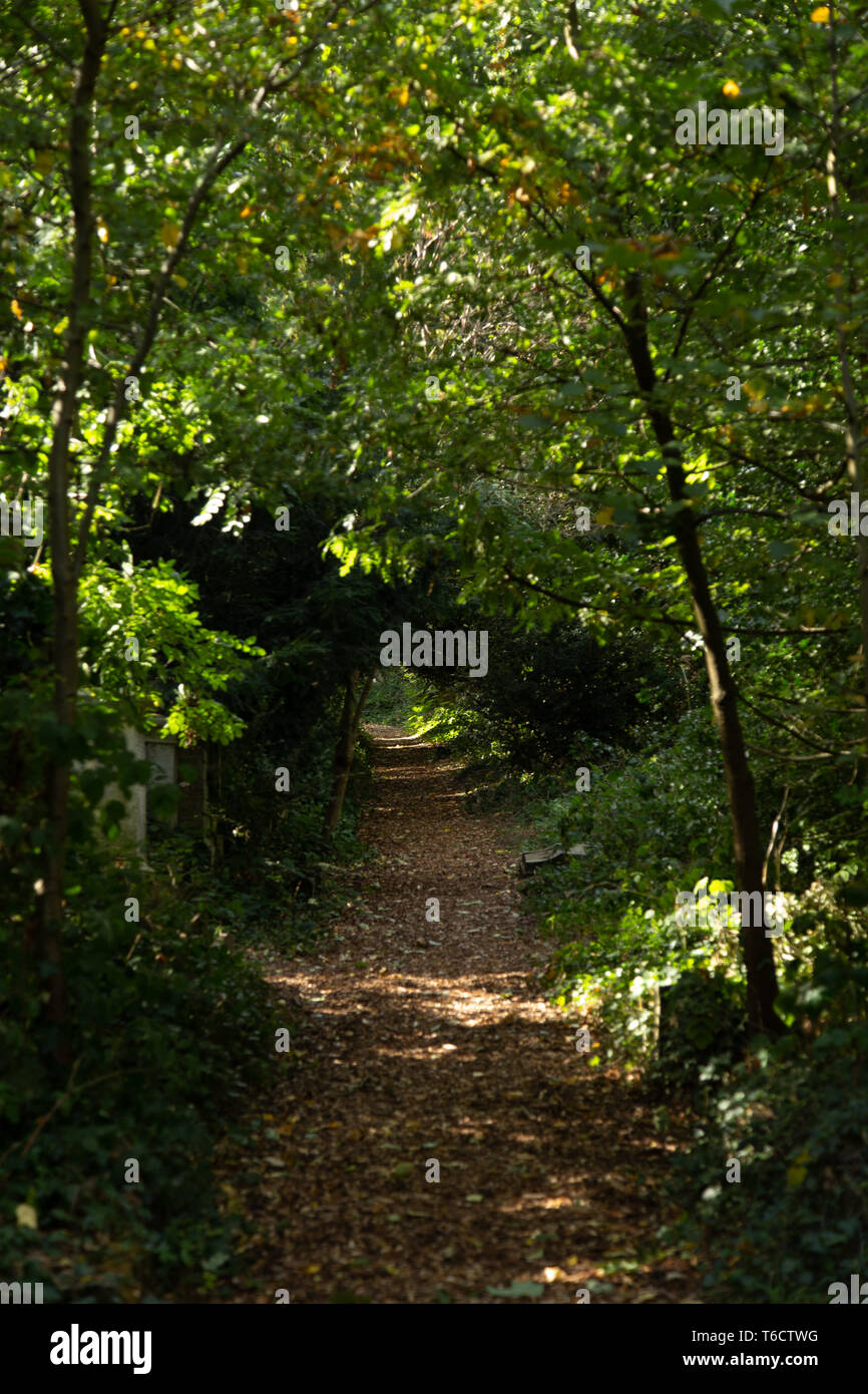 Ancient Pathways England Stock Photos & Ancient Pathways England Stock ...