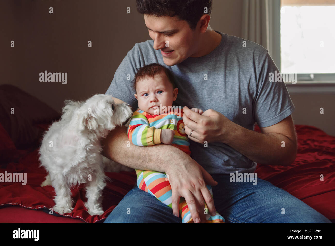 Dogs dad hi-res stock photography and images - Alamy