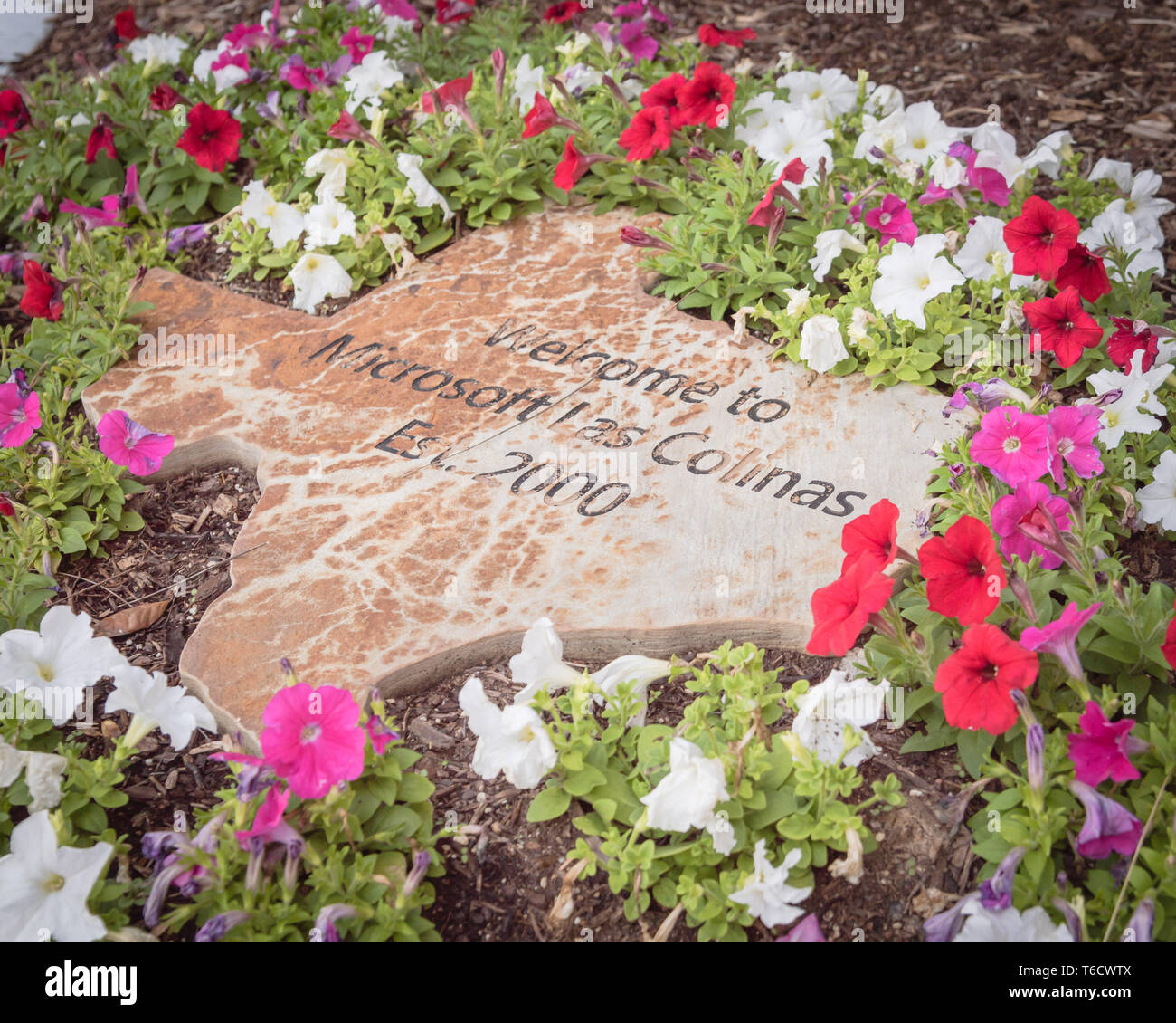 Welcome to Microsoft text on Texas map with flower decoration at office ...