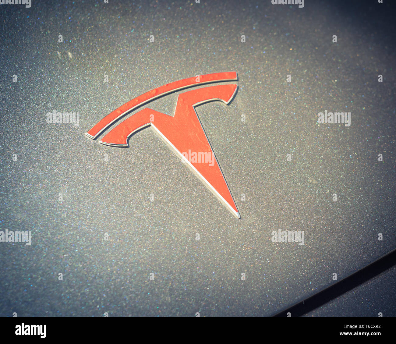 Silver car hood cover with Tesla logo close-up Stock Photo - Alamy