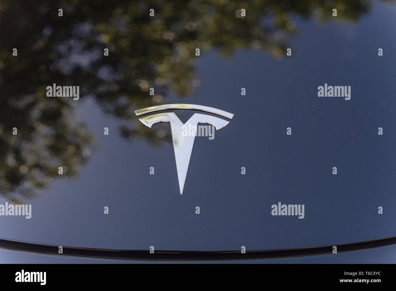 Black car hood cover with Tesla logo close-up Stock Photo - Alamy