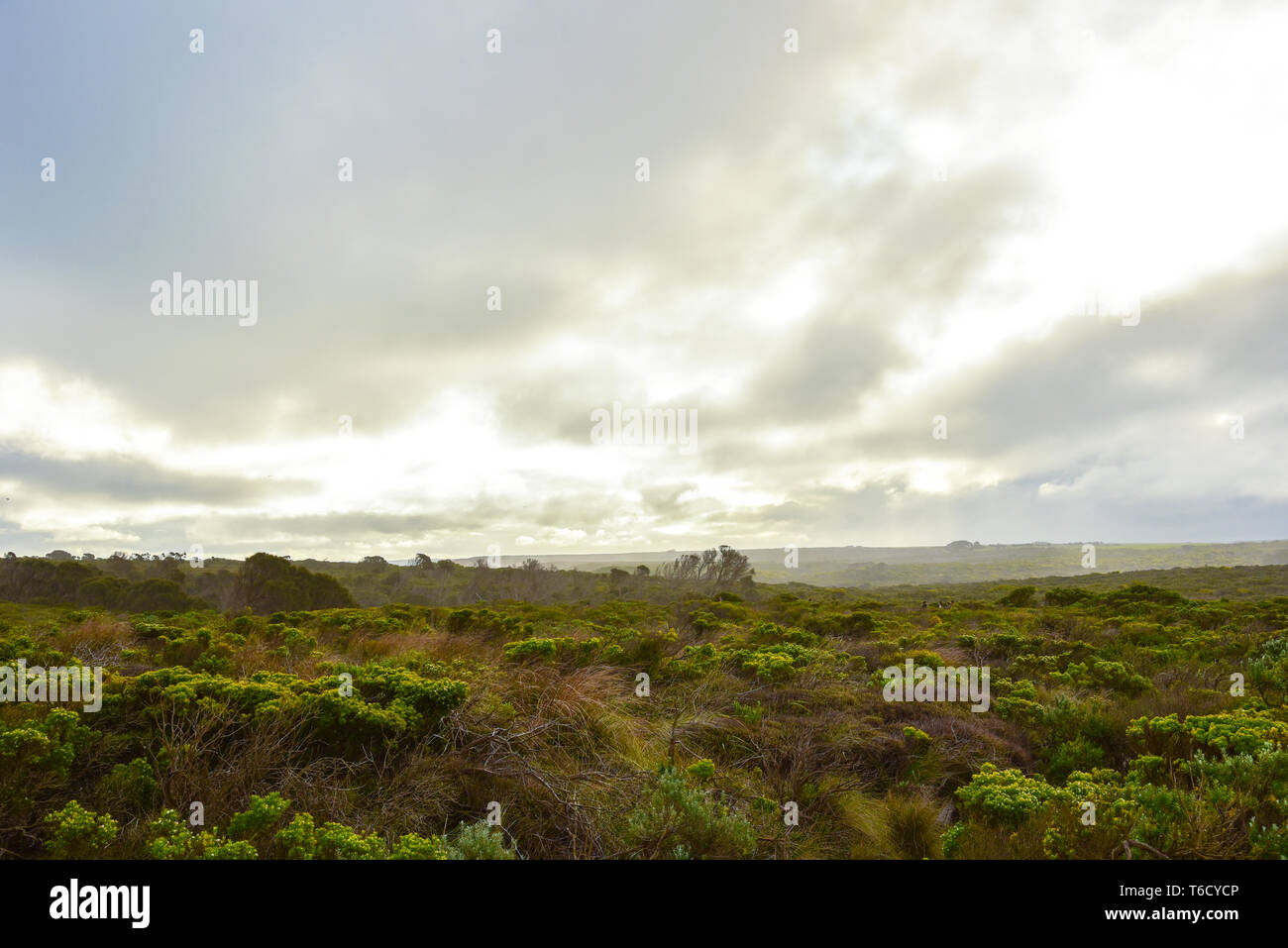 Vast green fields hi-res stock photography and images - Alamy
