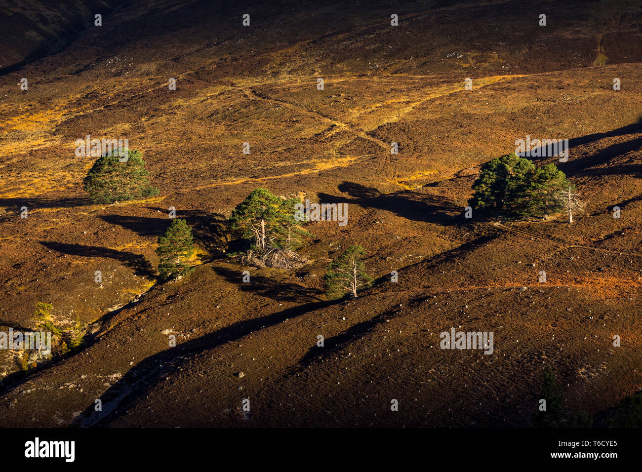 Valley of dee braemar valley of dee braemar hi-res stock photography ...