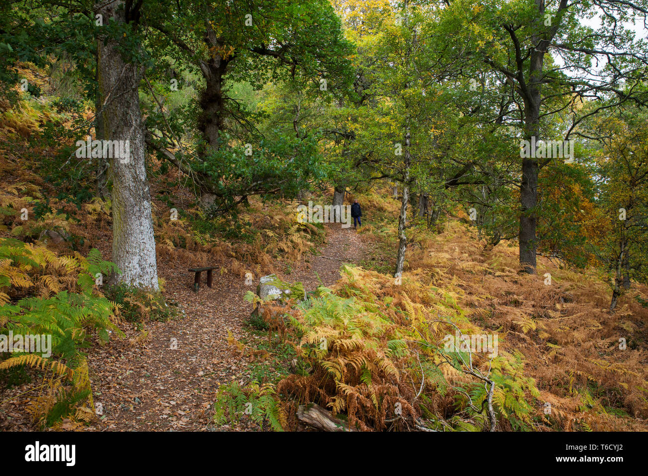 Craigendarroch hi-res stock photography and images - Alamy