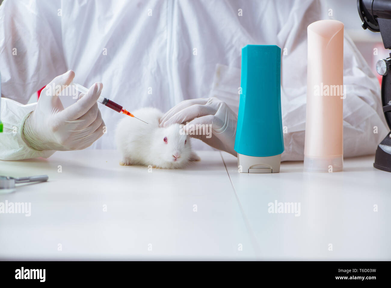 White rabbit in scientific lab experiment Stock Photo - Alamy