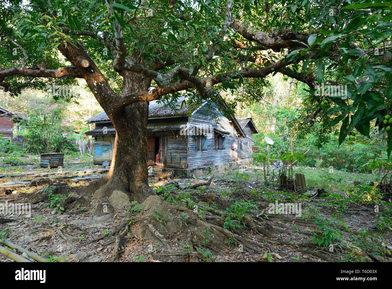 Old wooden house of an islanders Long Island, Andaman and Nicobar ...
